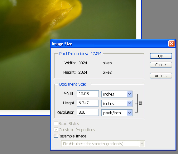 ? about photo resolution and dpi - Beginner Questions - Photo.net