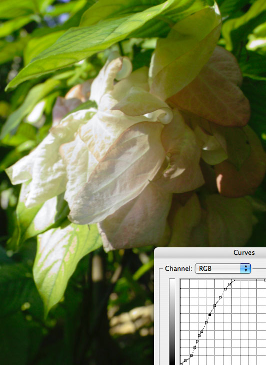 Linear Processing of RAW Image Files . - Page 2 - The Digital Darkroom ...