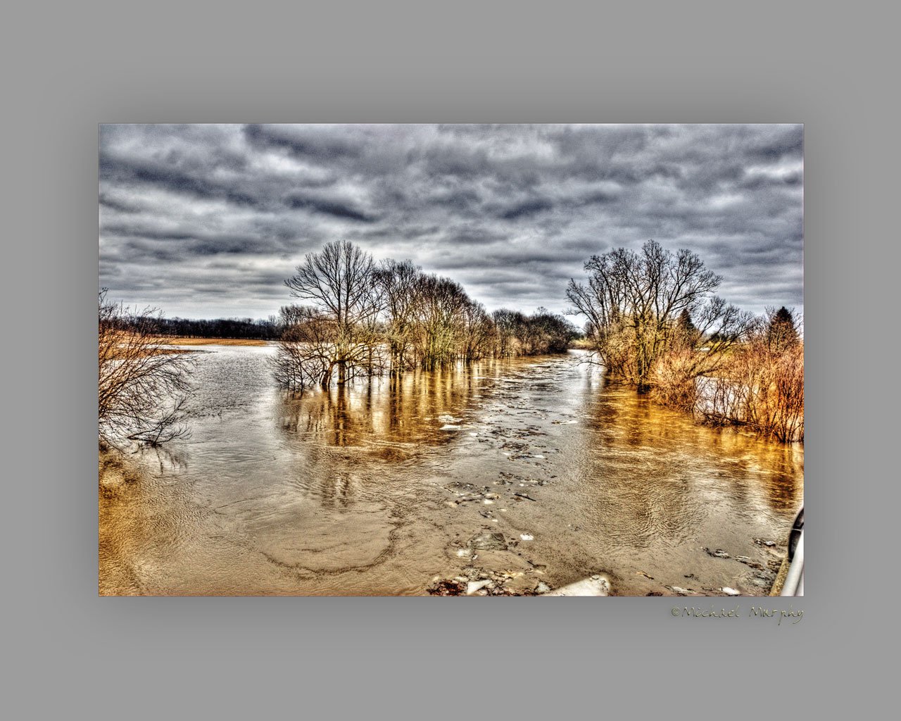 The Cass River overflows it's banks - Landscape - Photo.net