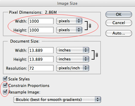 Submiiting 1000px long on the dge? - The Digital Darkroom: Process ...