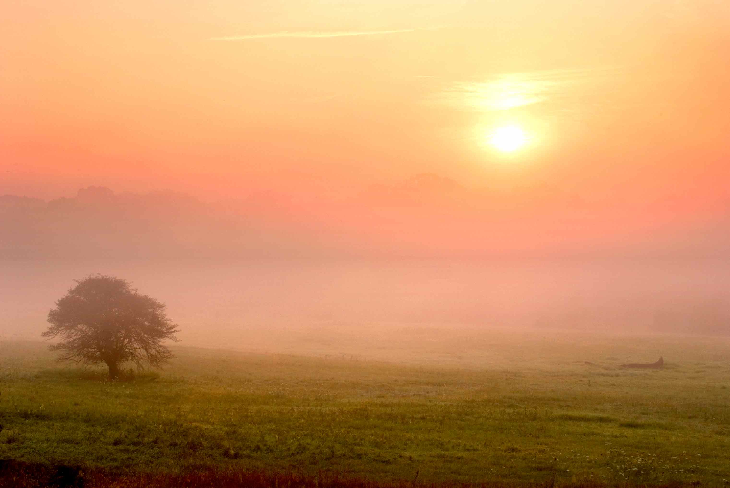 What's limiting your photography? - Nikon - Photo.net