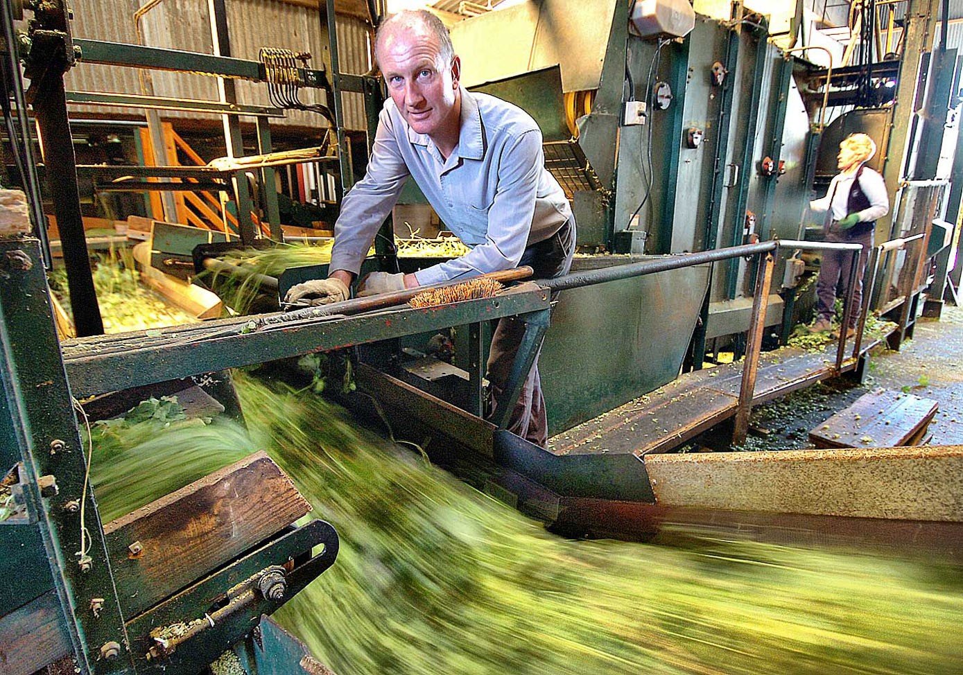 Little Lambswick Farm hop farmer Geoff Thompson with his Bruff ...
