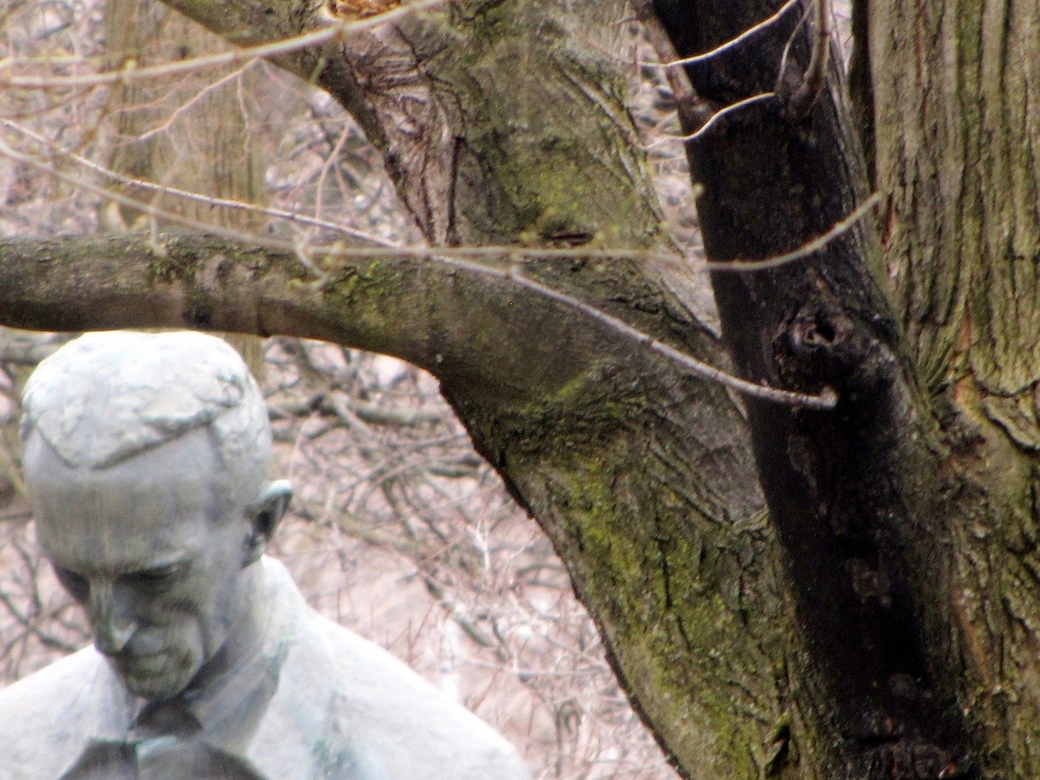 Hard head area -- Detail, statue of Nikola Tesla, Goat Island, Niagara ...