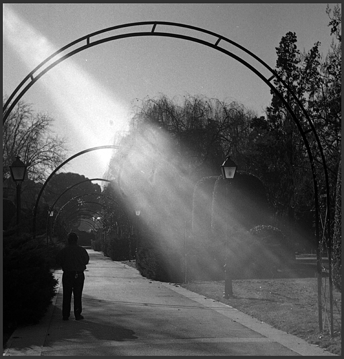 Photographing "The Light" - No Words - Photo.net