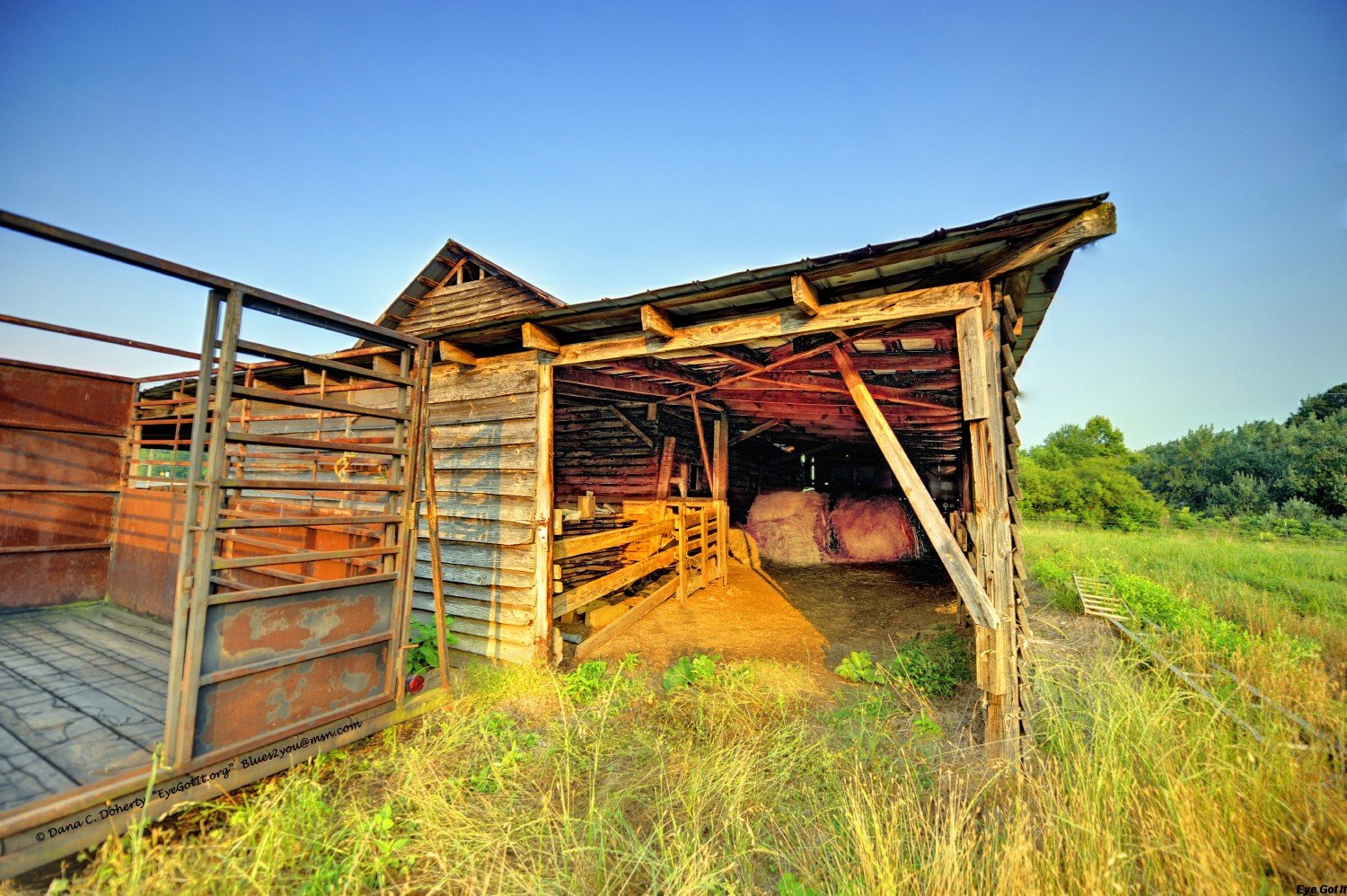 Cattle Pen 1 Signed - Landscape - Photo.net