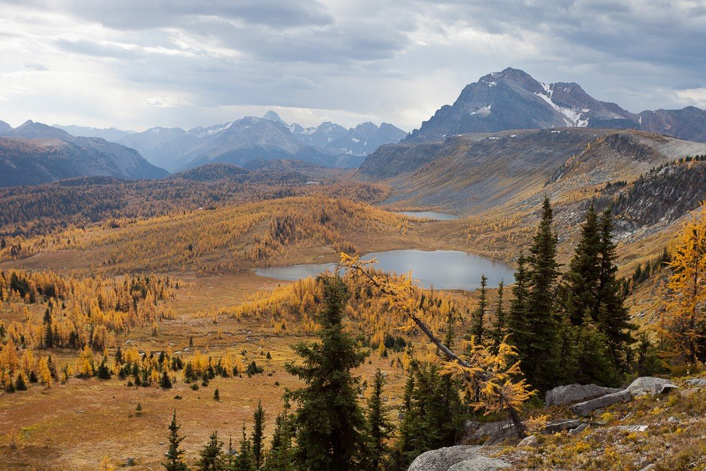 Fall Colours in Healy Pass, Banff National Park - Landscape - Photo.net