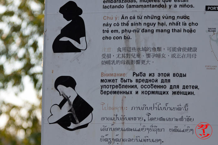 Signs that make you say, "Huh?" - No Words - Photo.net