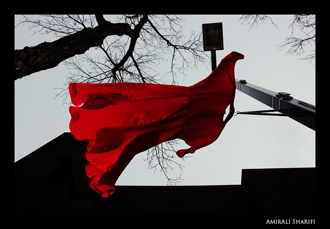 REDress project at University of Alberta: Raising awareness for ...