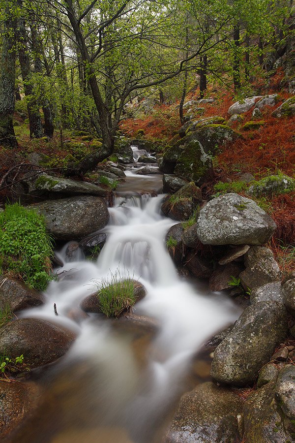 " Spring Water II " - Landscape - Photo.net
