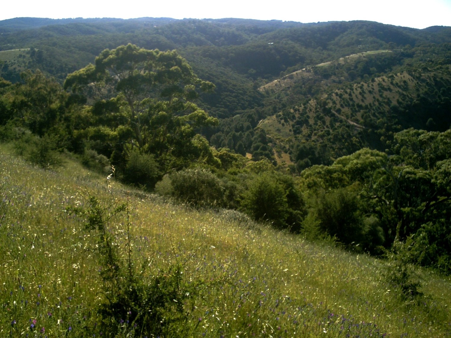 adelaide hills - Uncategorized - Photo.net