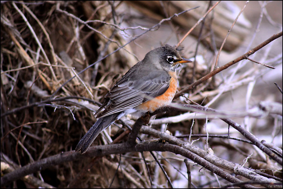 Minimum Shutter Speed with teleconverters and cropped sensors - Canon ...