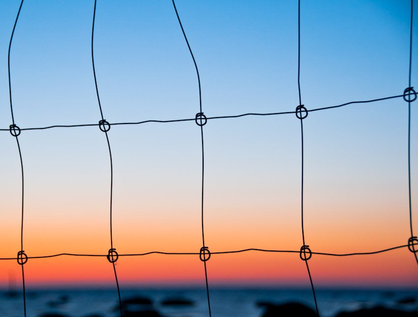 Behind the fence - Nature - Photo.net