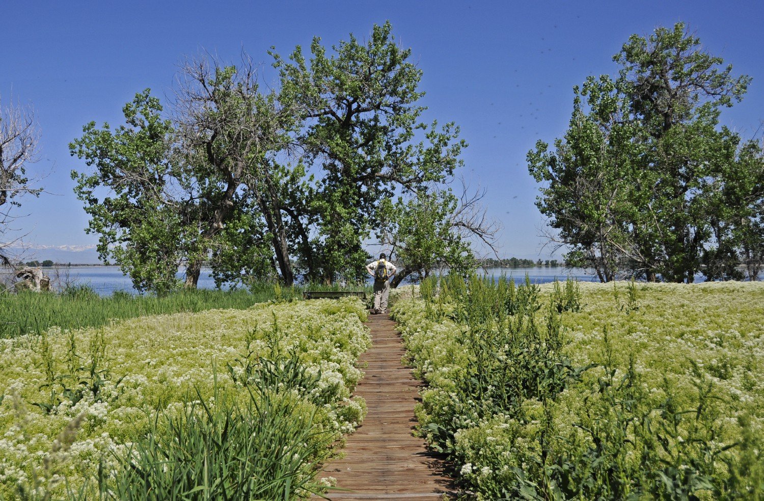 Visiting the Marsh at Barr Lake State Park - Uncategorized - Photo.net