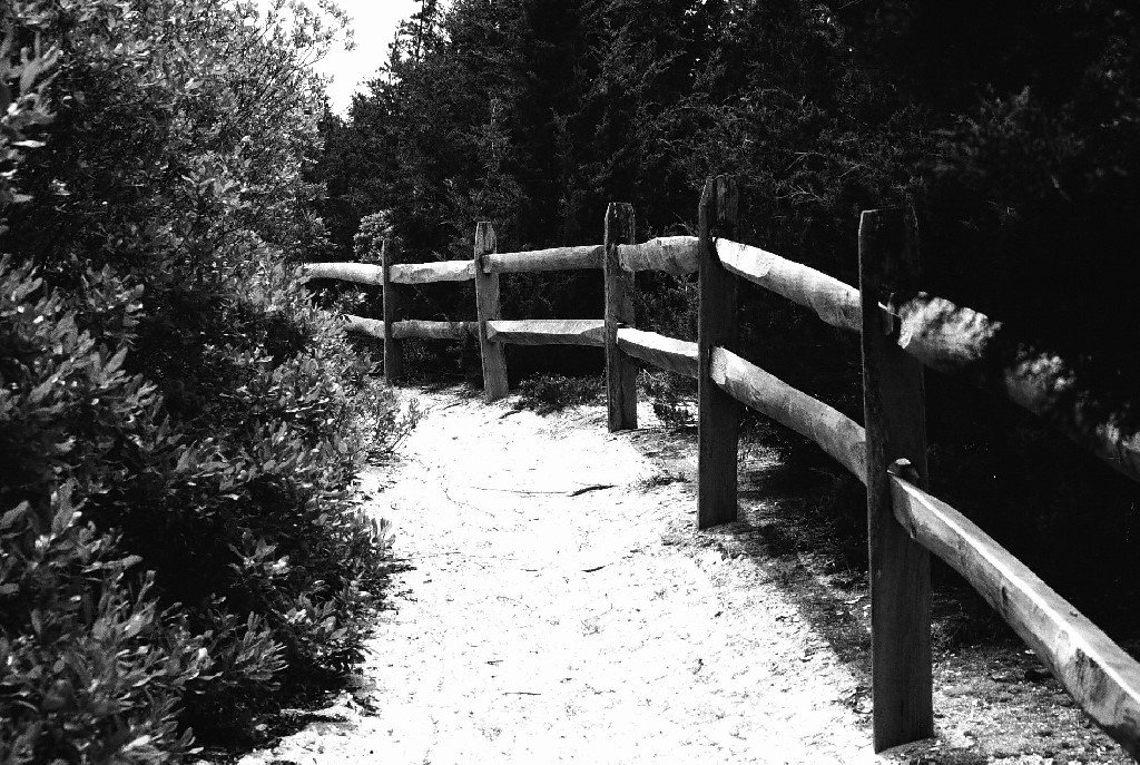 Sandy walk-way Island Beach - Uncategorized - Photo.net