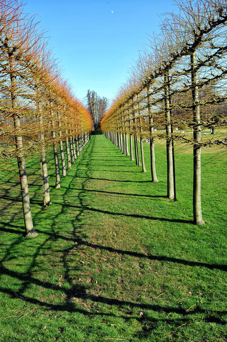 Intersections: Horizontal and vertical - No Words - Photo.net
