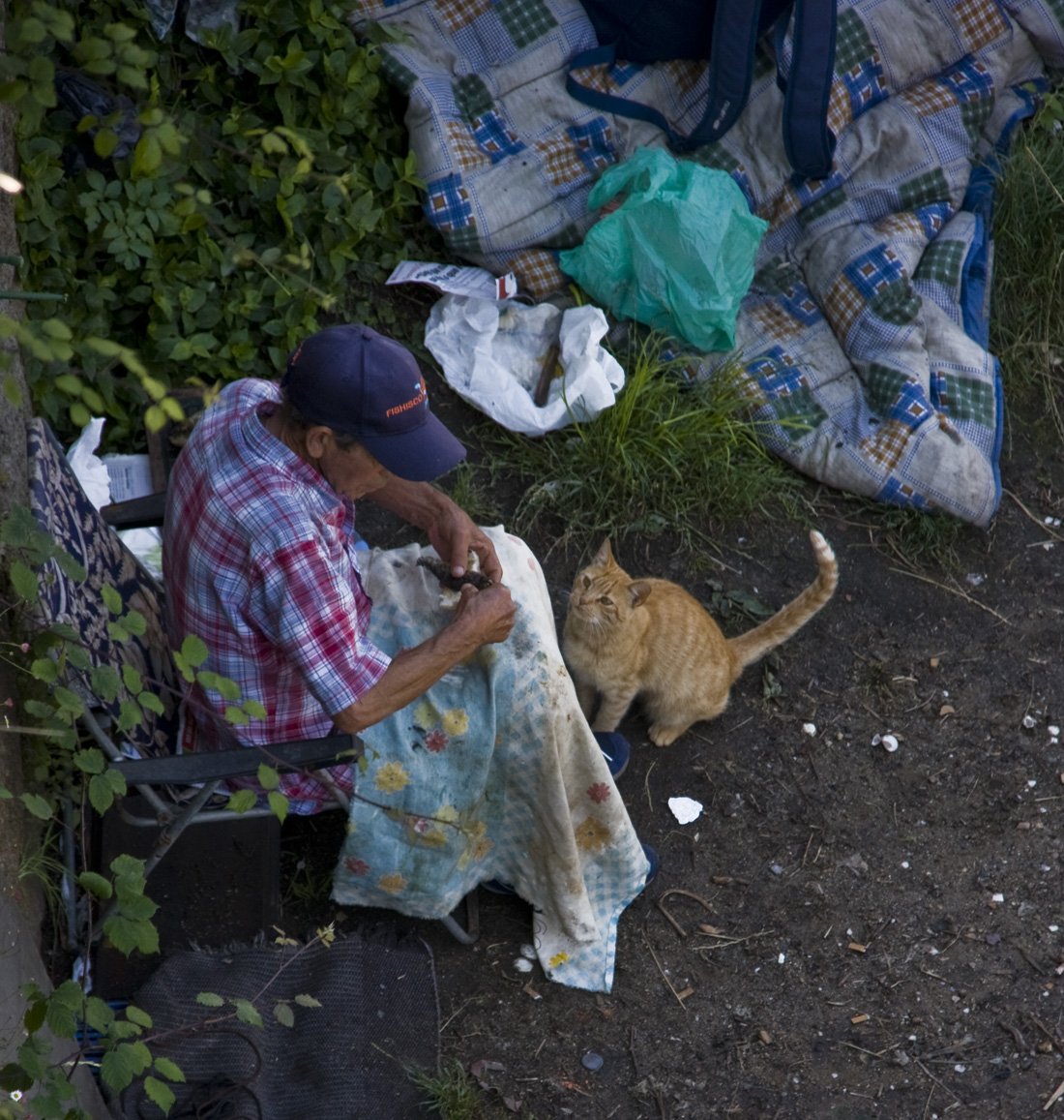 Homeless man sharing fish with homeless cat - Street - Photo.net