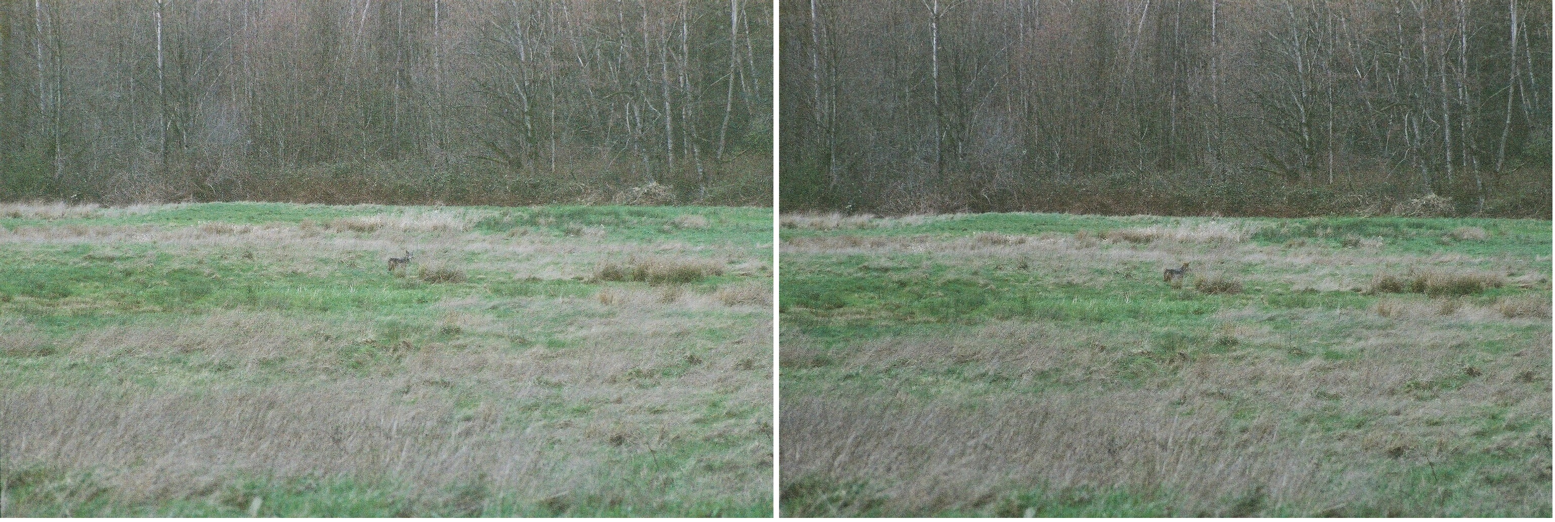 New to film: First set of photos are grainy with bad exposure. - The ...