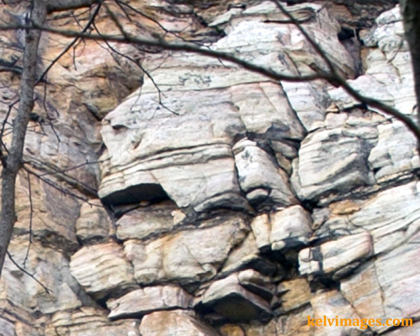 Elongated head like in ancient Mayan and Egyptian art ...