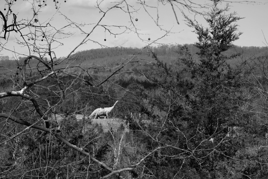 Most Boring Day In History coming up April 11, 1954 - No Words - Photo.net