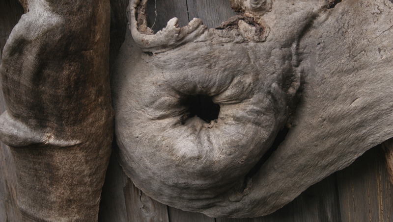 Abstract: To be (a body part) or not to be (a body part) - Abstract ...