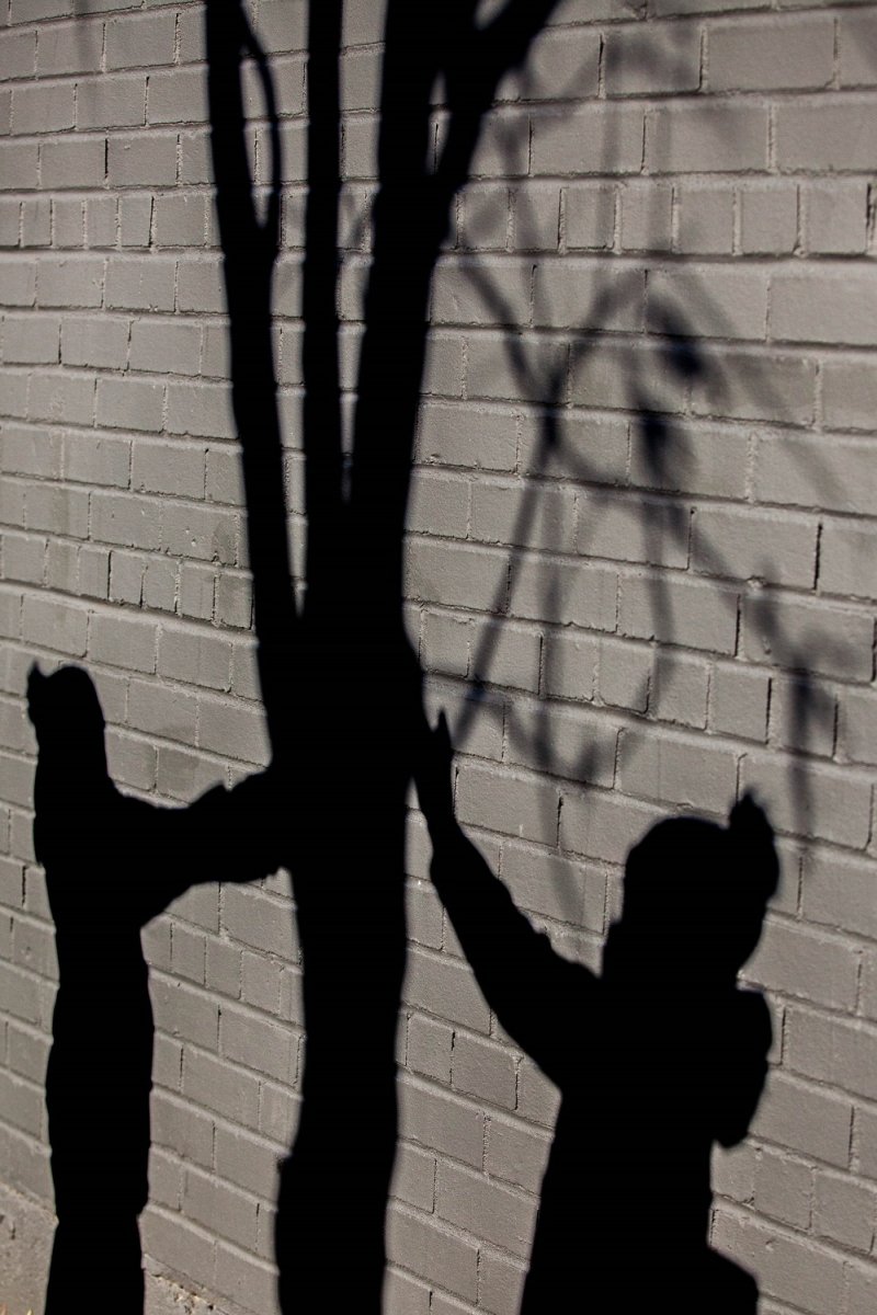 Tree of happiness - Abstract - Photo.net