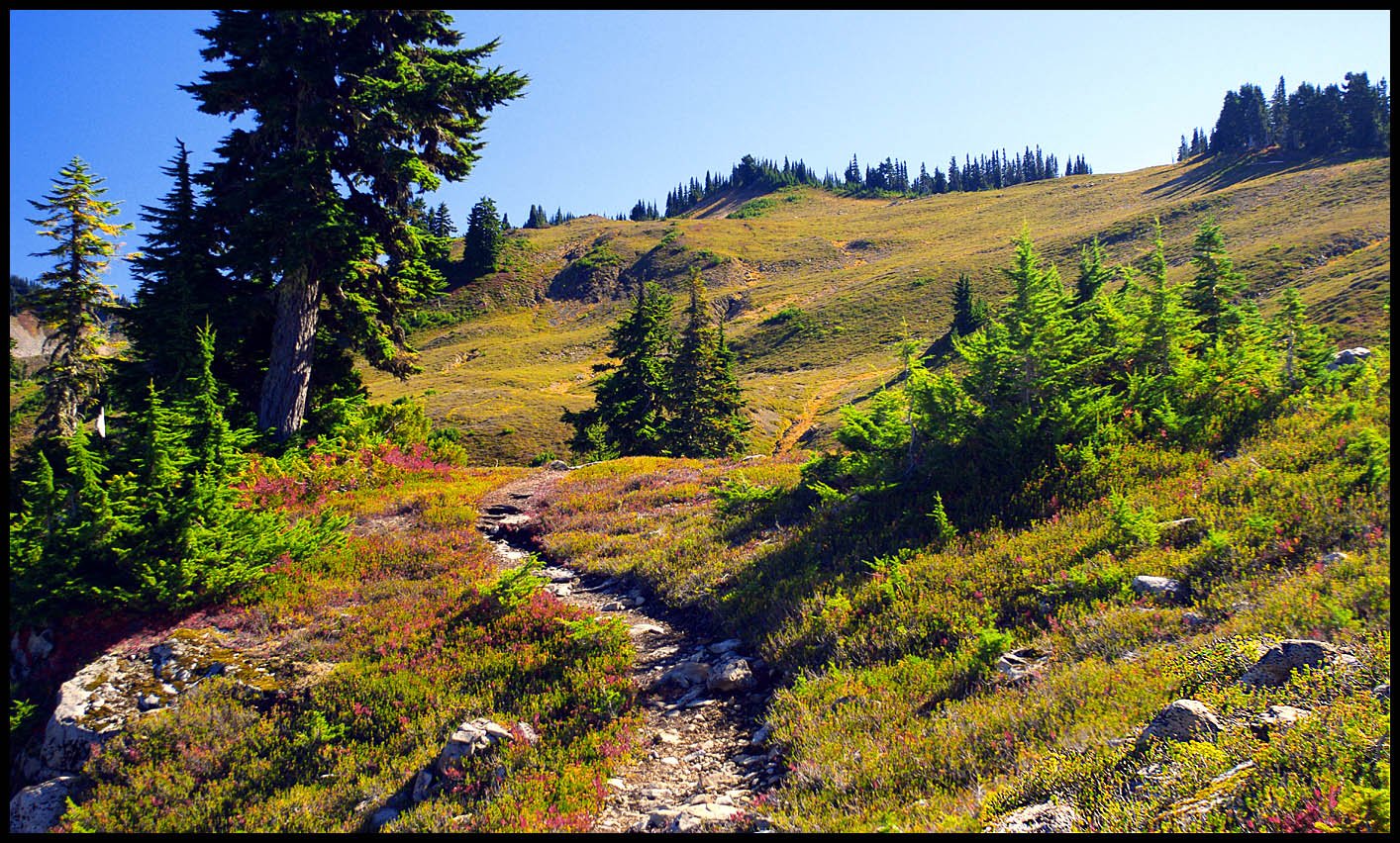 High Divide = Olympic National Park - Landscape - Photo.net