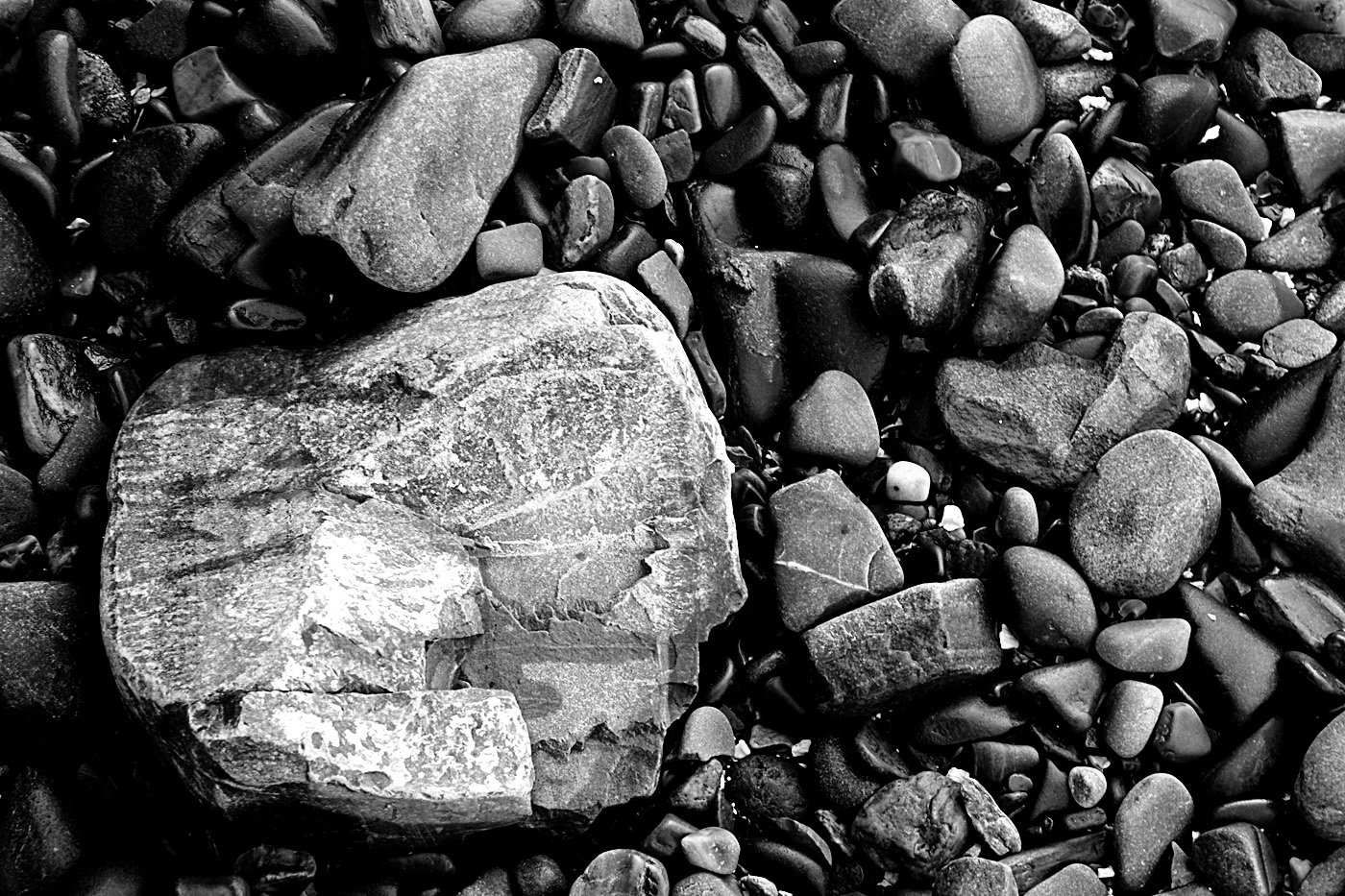 Shapes, Sizes - Nature - Photo.net