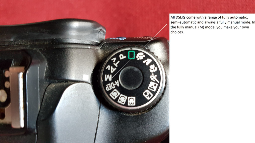Which DSLR - Casual Photo Conversations - Photo.net