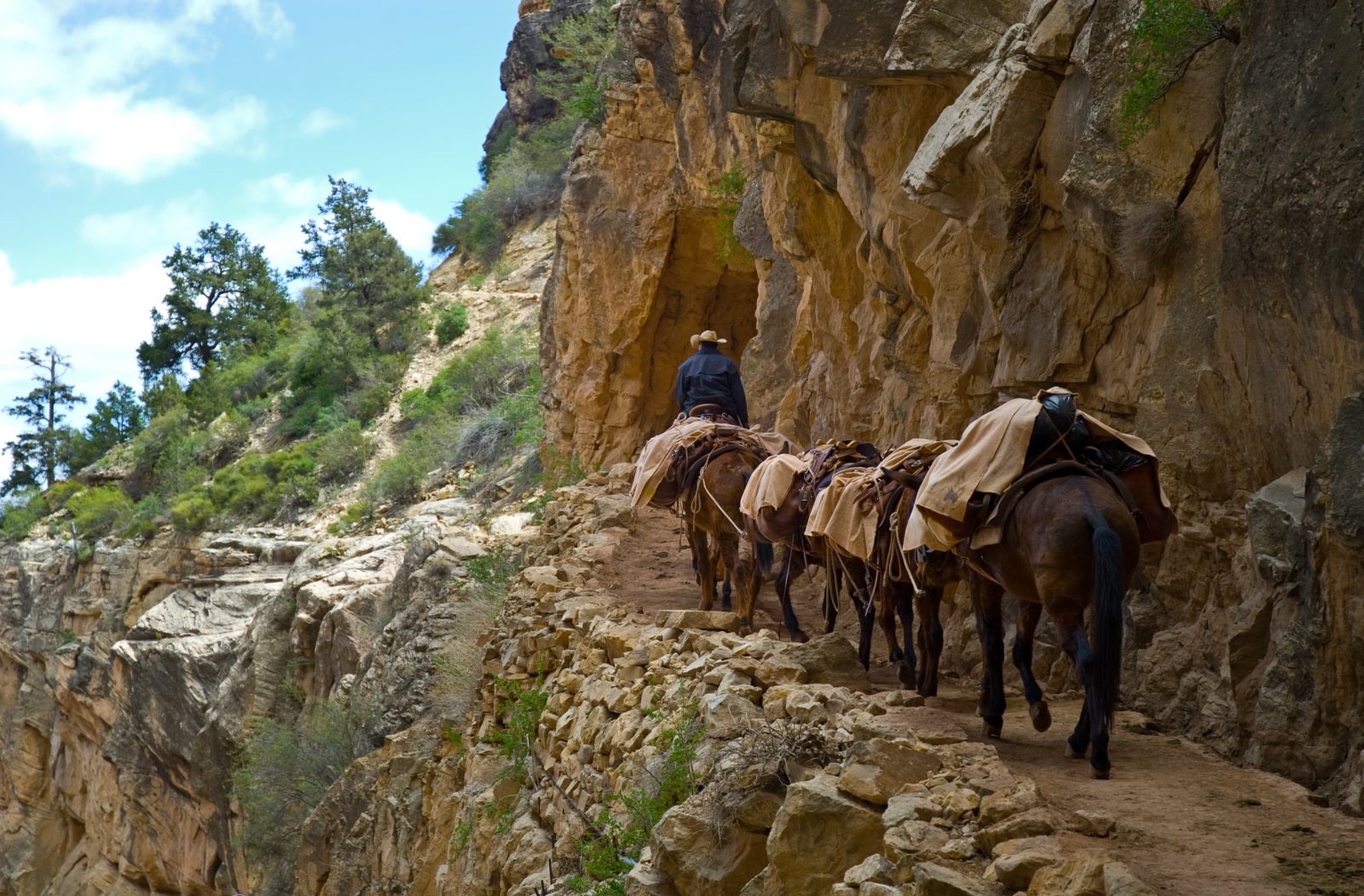 Horse Rider on a Grand Canyon Trail - Landscape - Photo.net