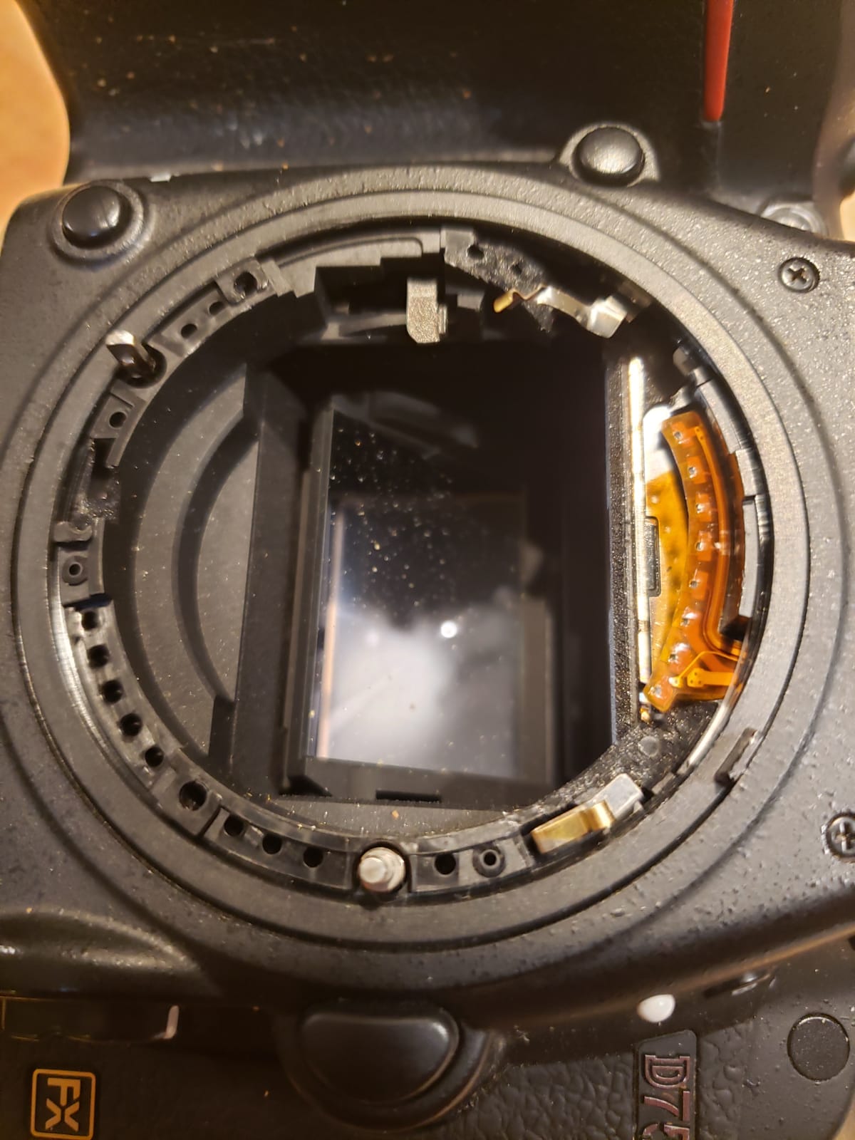 D750 Shutter or Mirror Error - Nikon - Photo.net