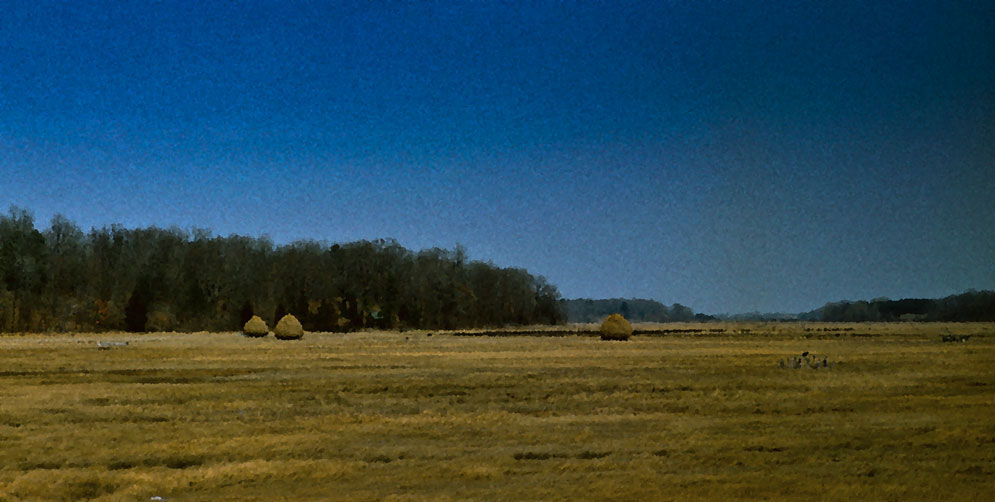 A photographic homage to ... - No Words - Photo.net