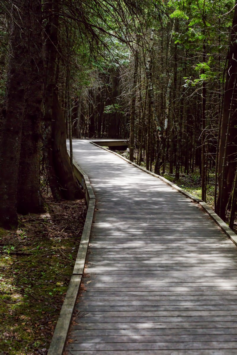 Broadwalk at Brokenhead Wetlands - Landscape - Photo.net