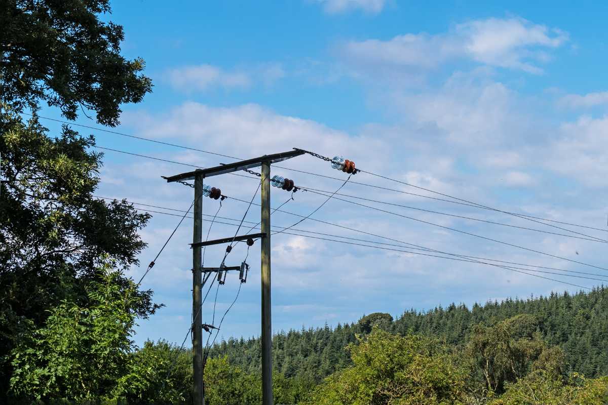 With electrifying elements - No Words - Photo.net