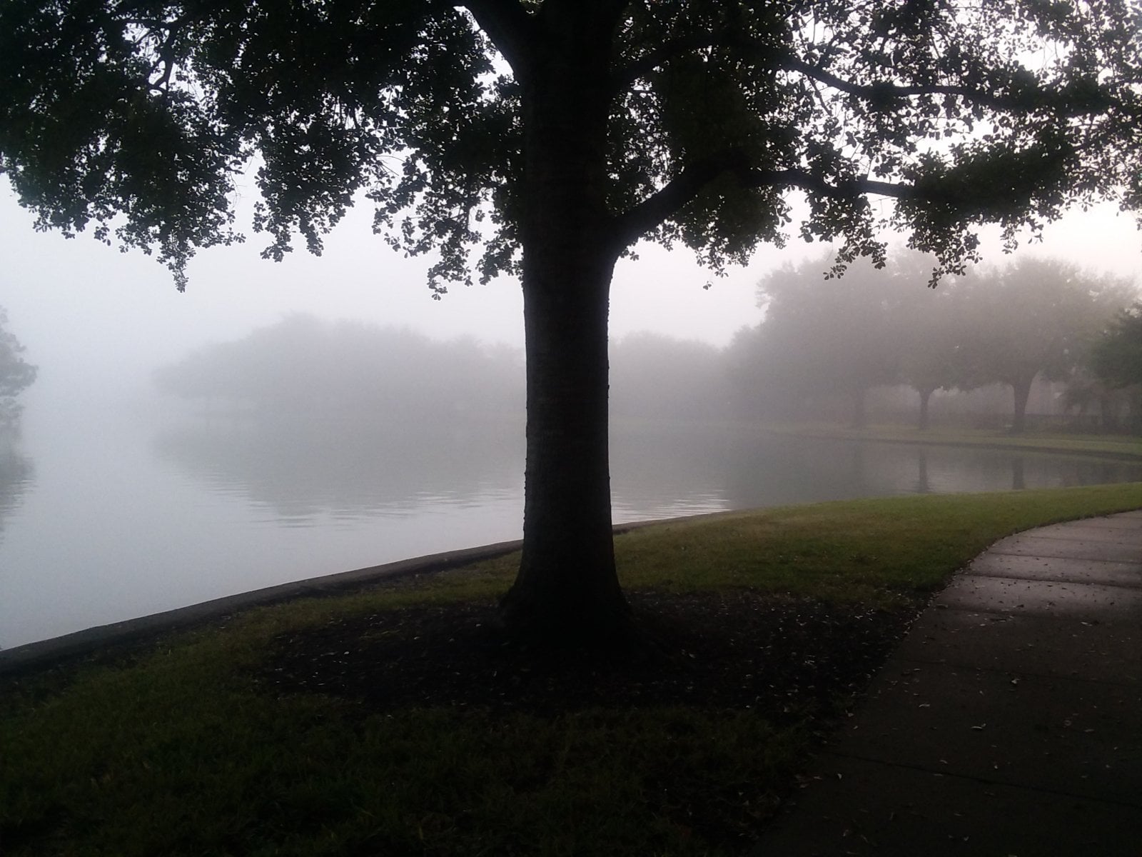 early morning walk around the lake :) - Nature - Photo.net