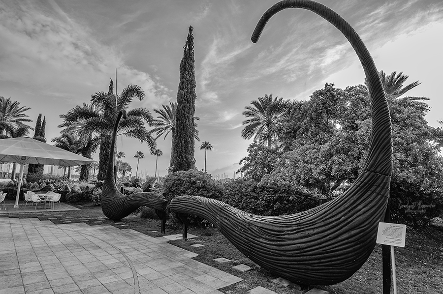 Surrealist objects - No Words - Photo.net