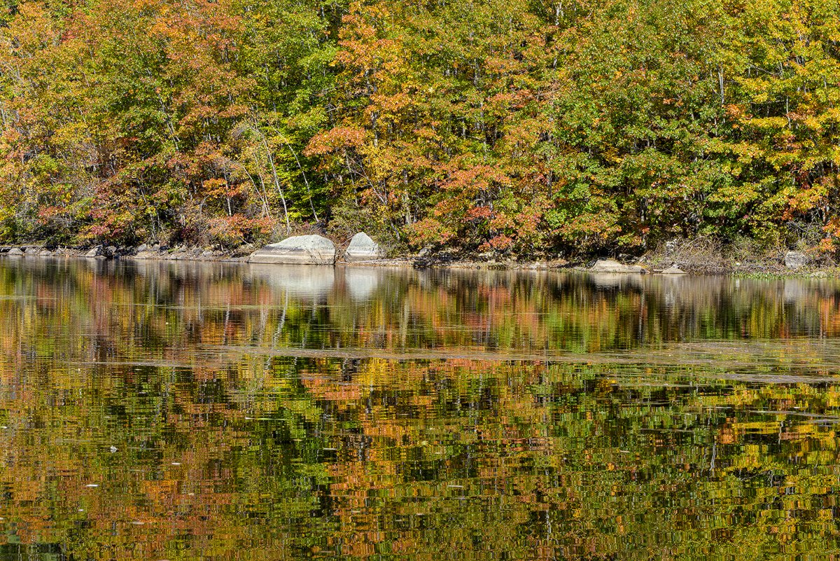 Autumn Leaves 2022 report photos - Landscape - Photo.net