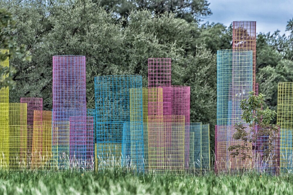 Cages - No Words - Photo.net