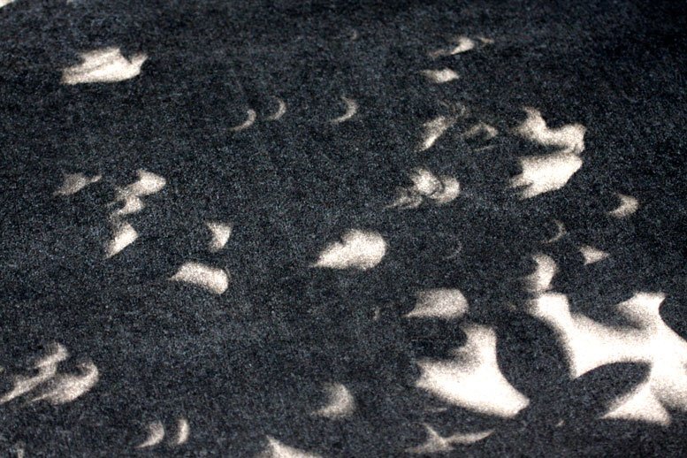 Double shadow - No Words - Photo.net