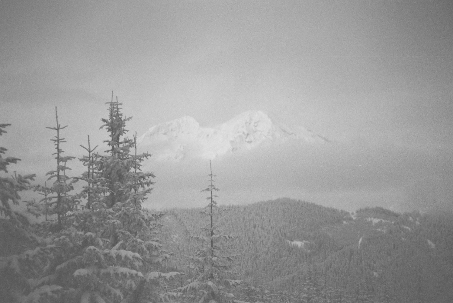 On Finding Signet 80 Lenses - Classic Manual Film Cameras - Photo.net