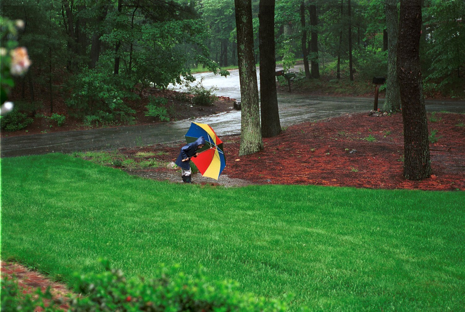Another Rainy Day Outside - No Words - Photo.net