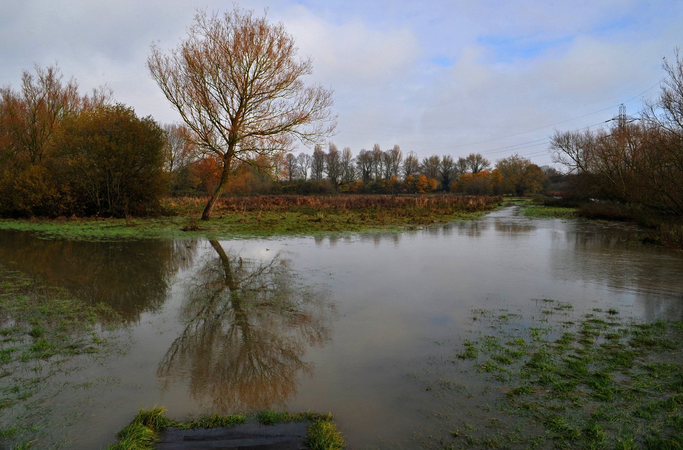 Taken at the Flood - No Words - Photo.net