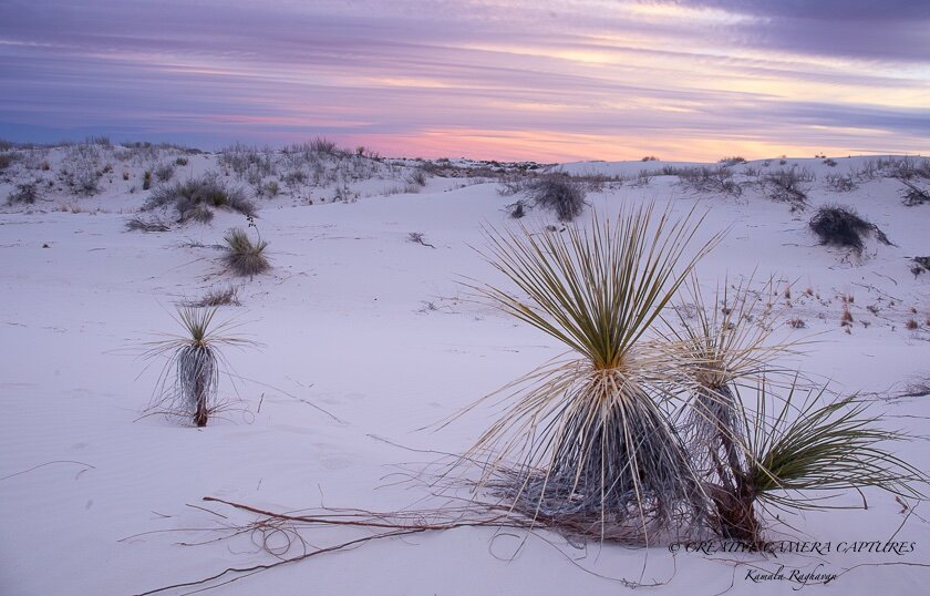Desert Colors, Desert Sunset Photography - Seeking Critique - Photo.net