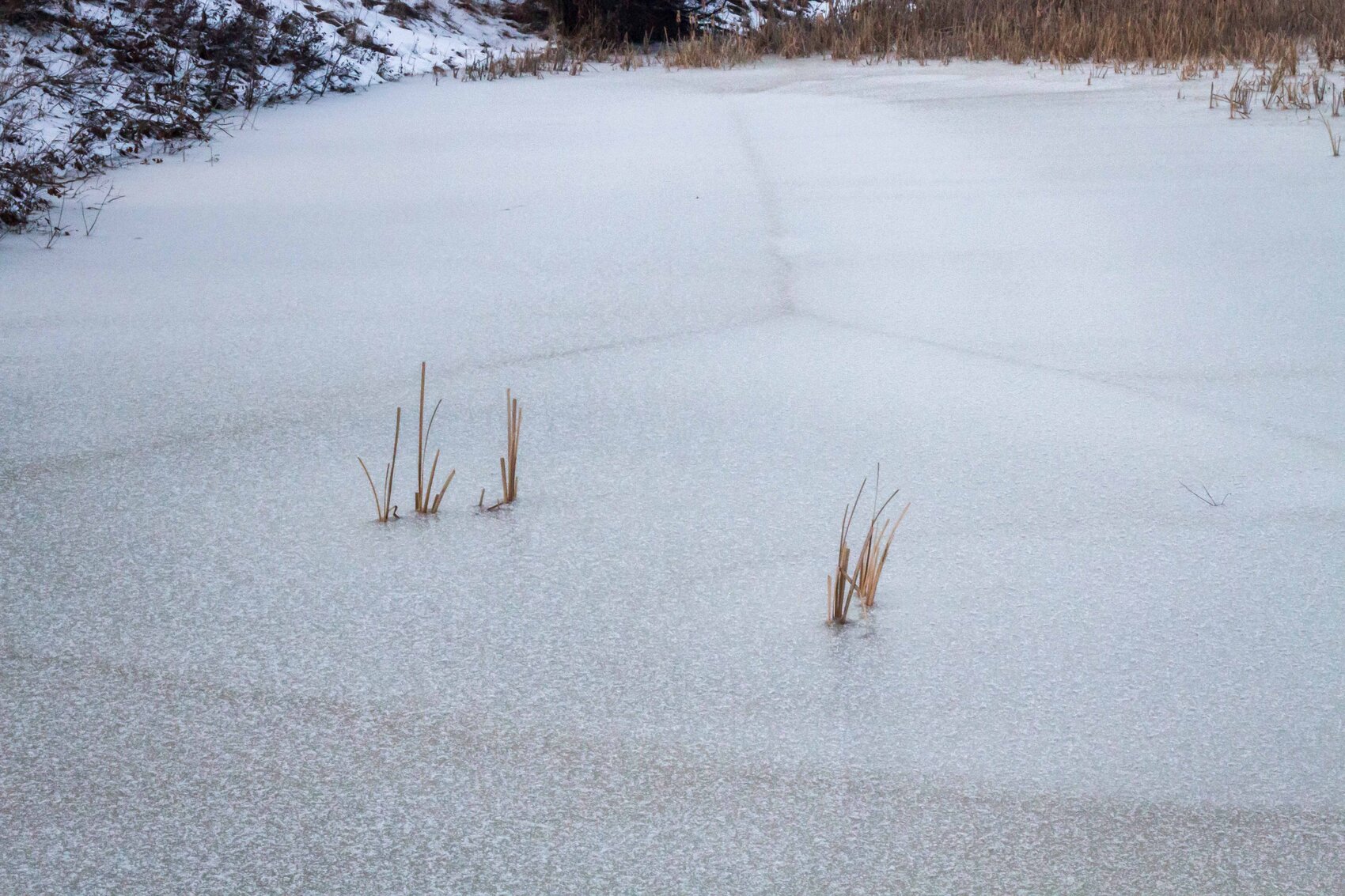 Frozen Pond - Landscape - Photo.net