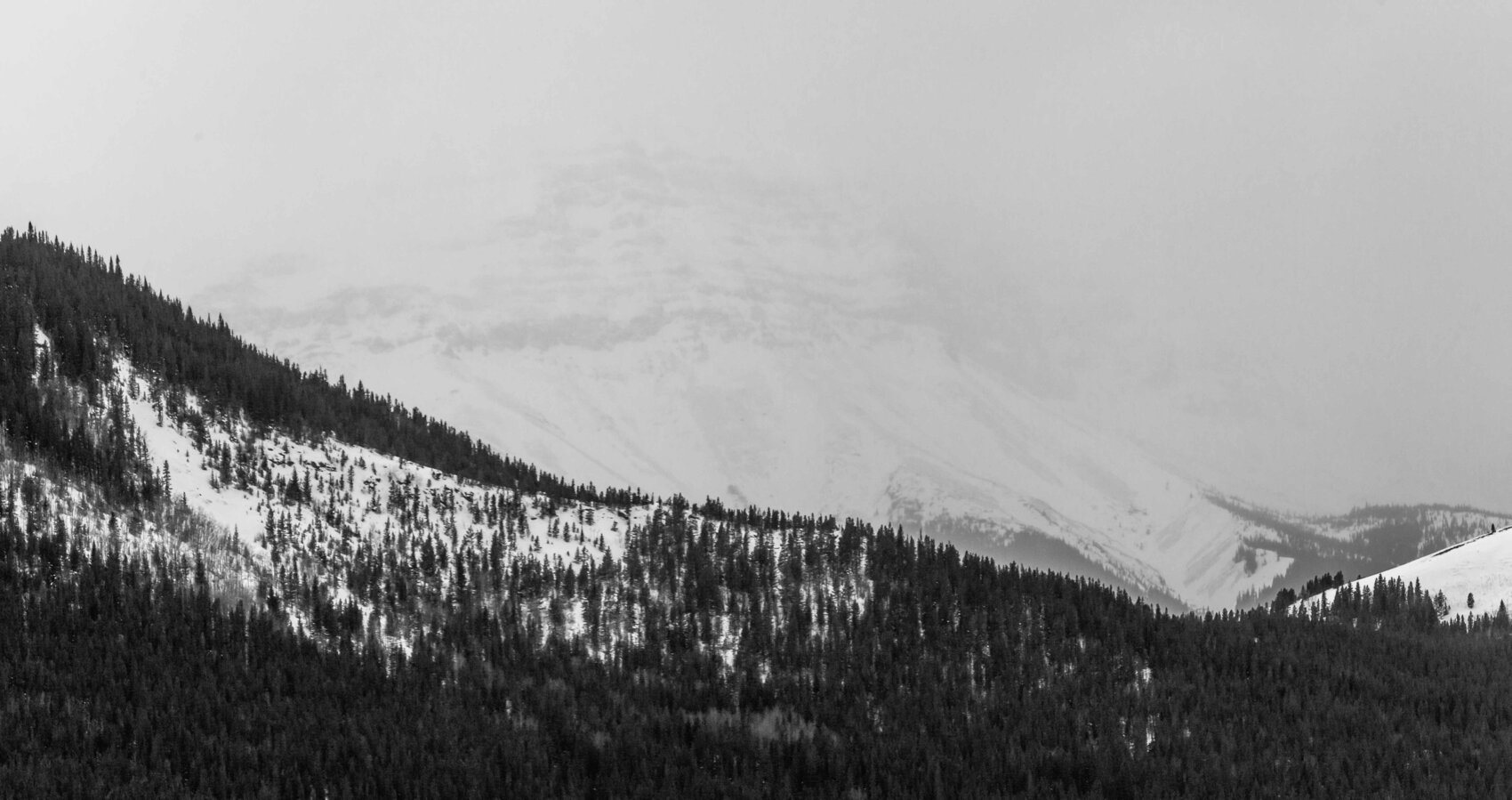 Obscured - Monochrome - Photo.net