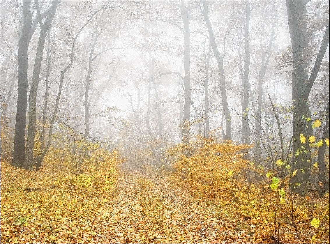 Autumn - Nature - Photo.net