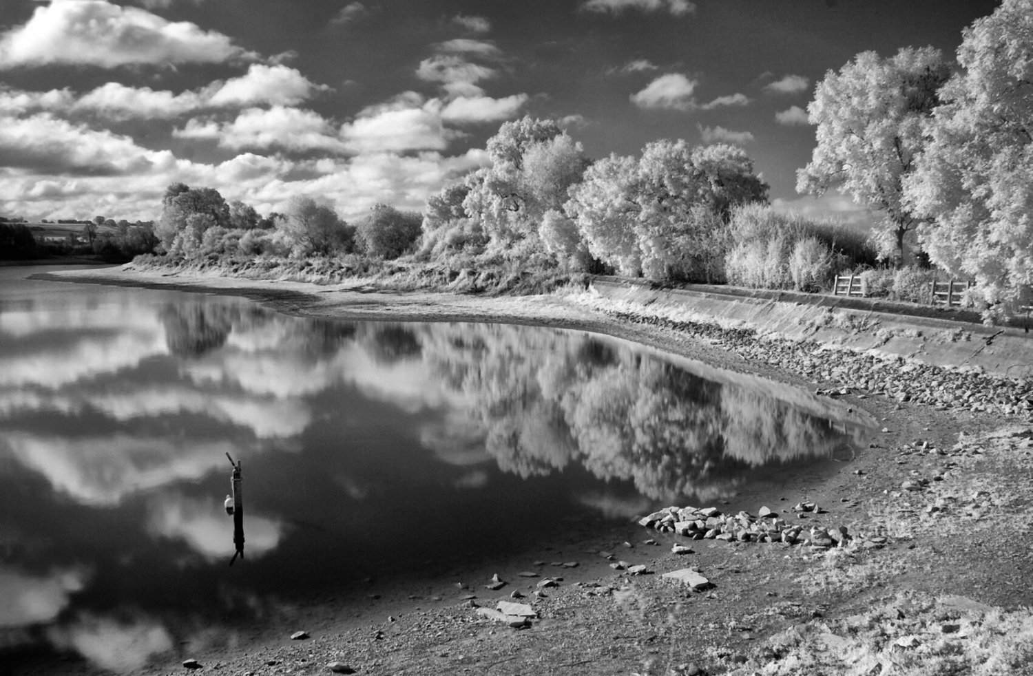 Infrared - Nikon - Photo.net