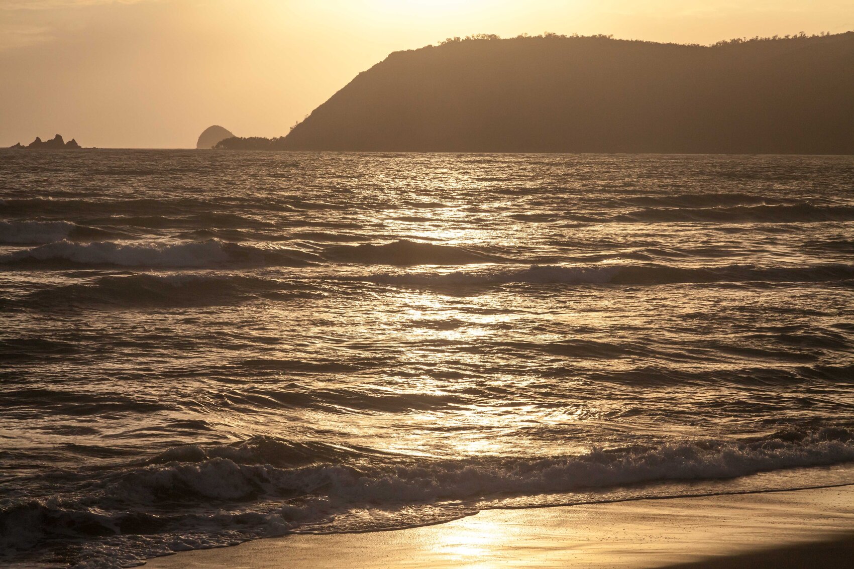 Golden Morning - Nature - Photo.net