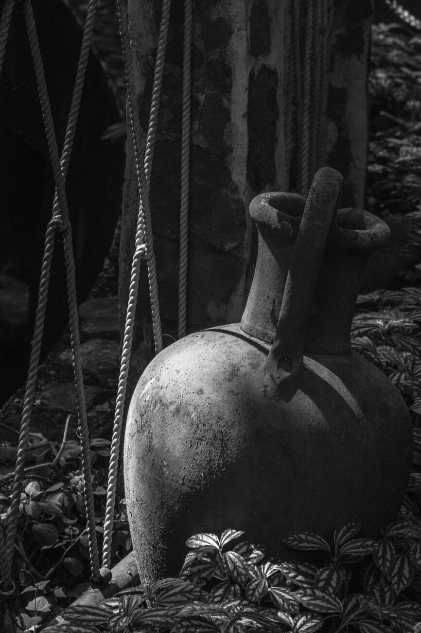 Fine Form - Monochrome - Photo.net