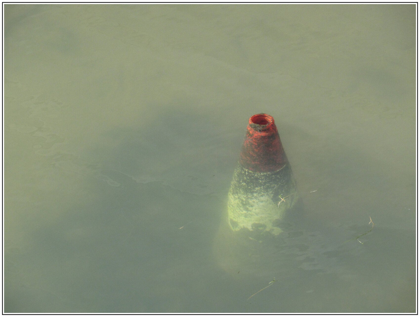 Submerged - Abstract - Photo.net