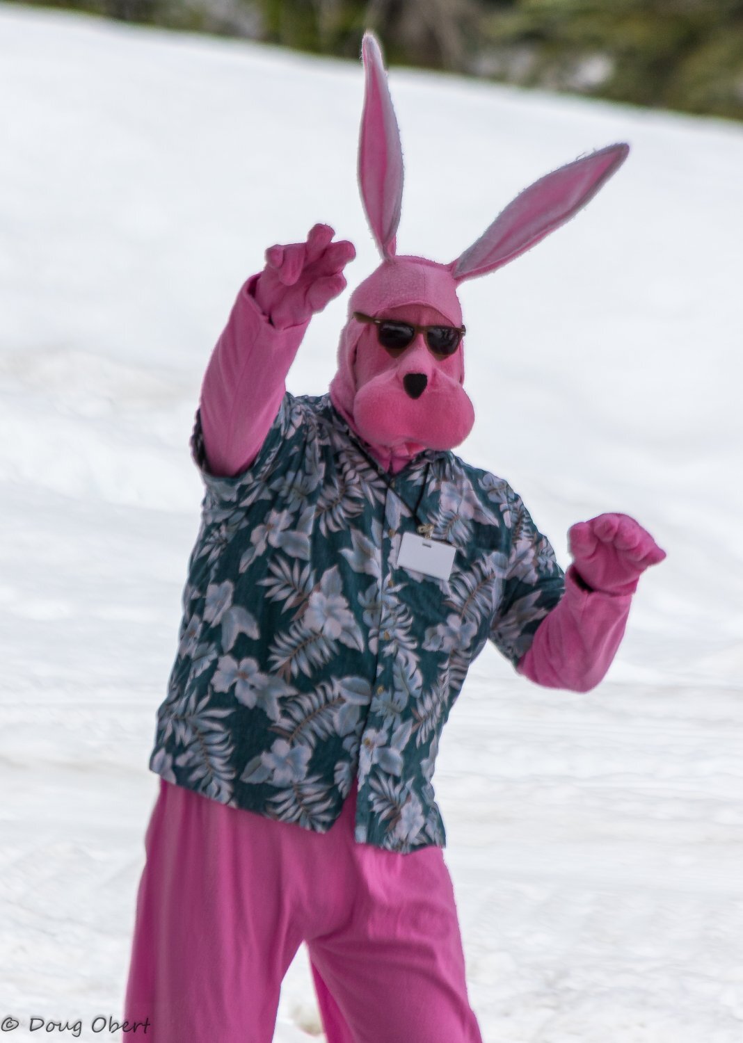 Pink - No Words - Photo.net
